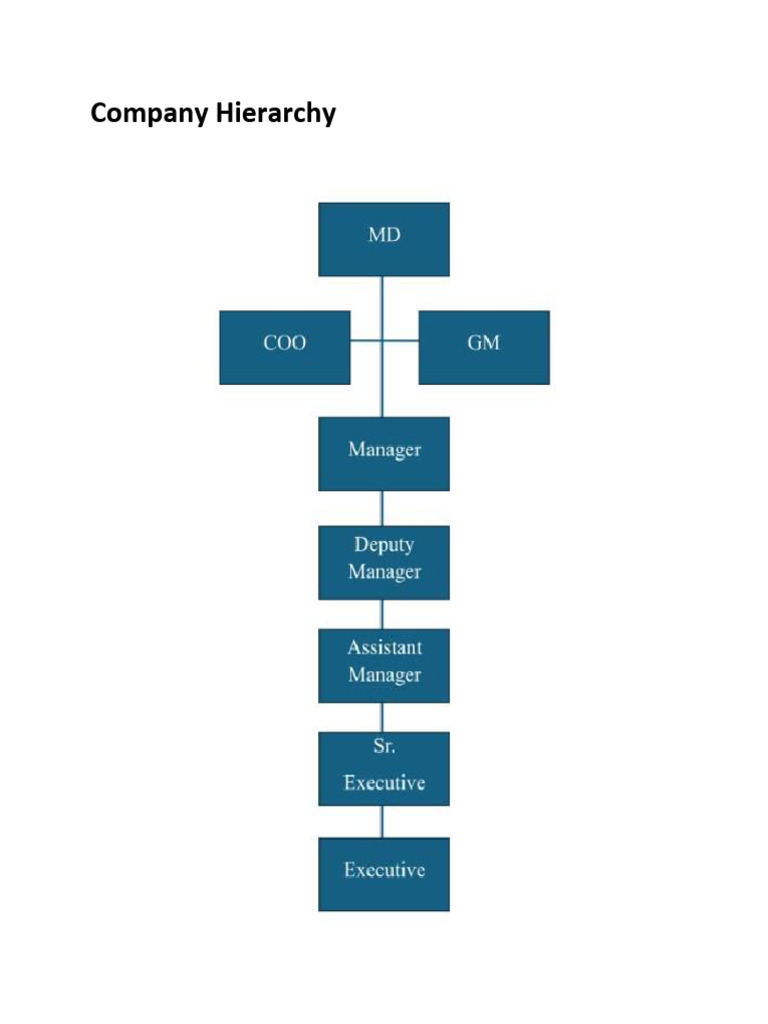 Company Hierarchy and Relationships | PDF