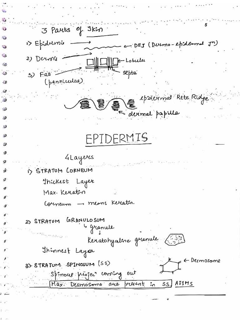 Dermatology | PDF