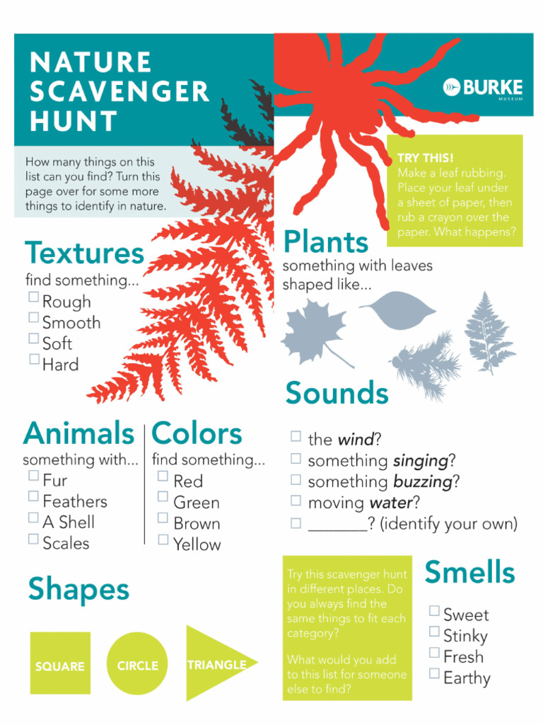 Nature Scavenger Hunt | PDF