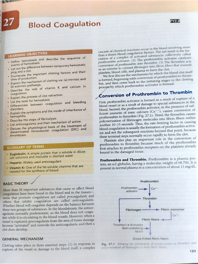 Blood Coagulation | PDF