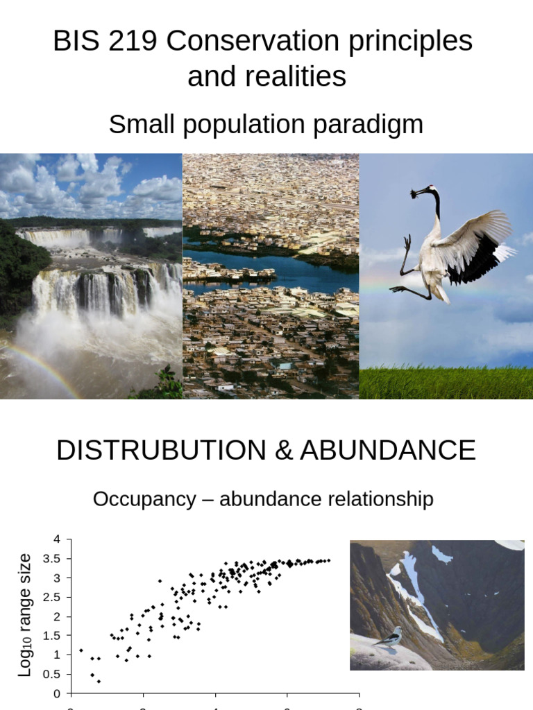 Lect 5 Small Pop Paradigm - New | PDF | Ecology