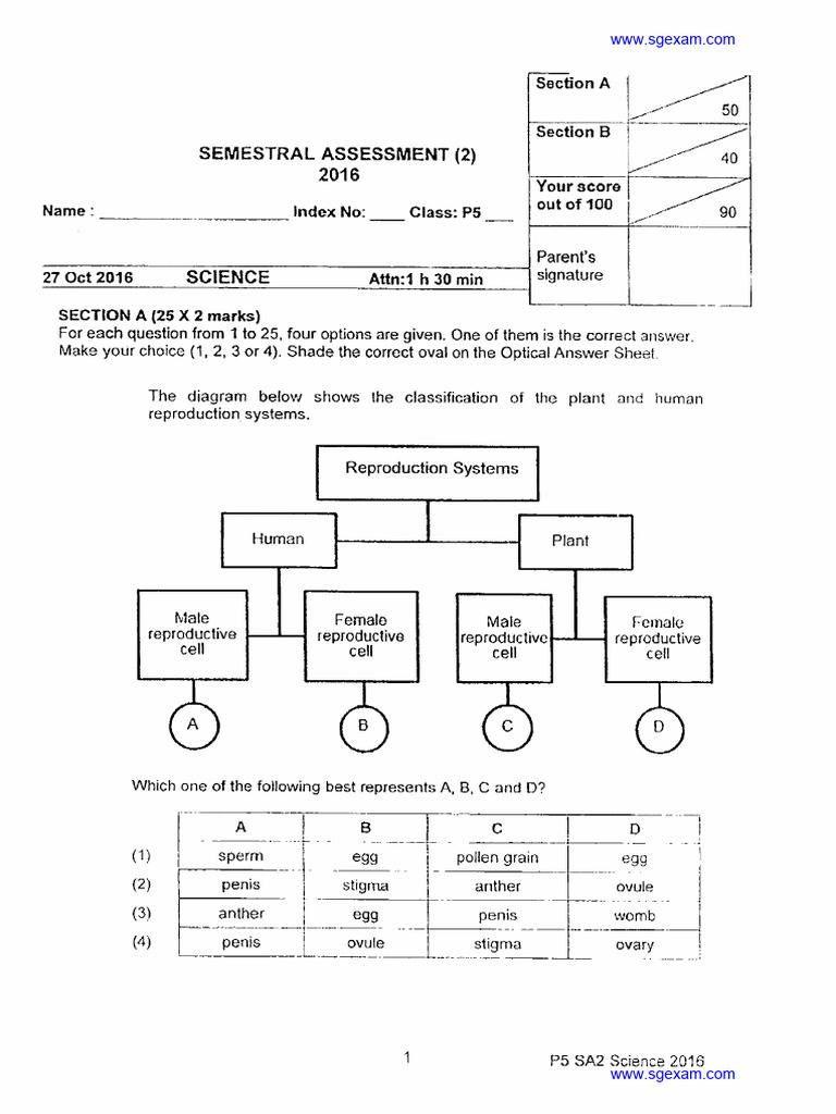2016-P5-Science-SA2-Raffles Girls | PDF