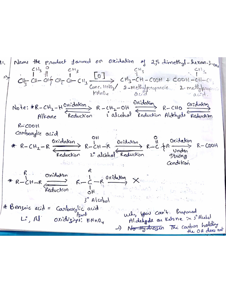Questions Class 1 | PDF