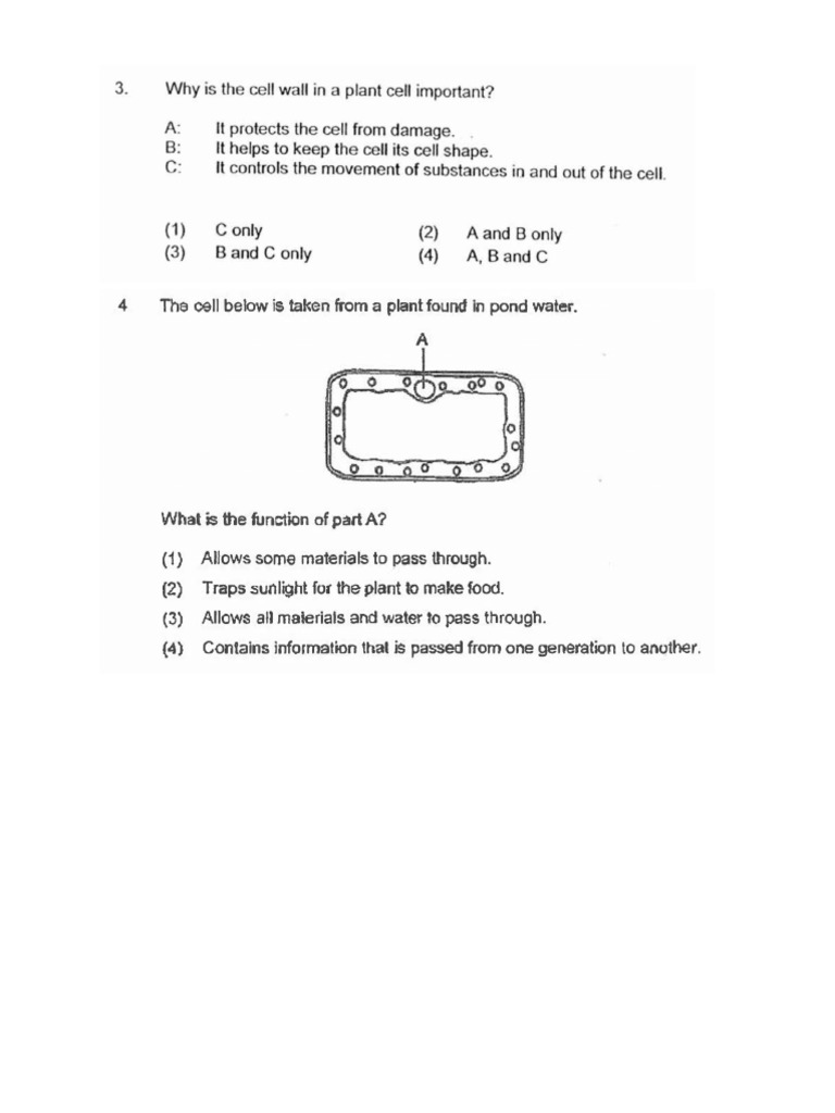 P5 Science Cells Worksheet | PDF