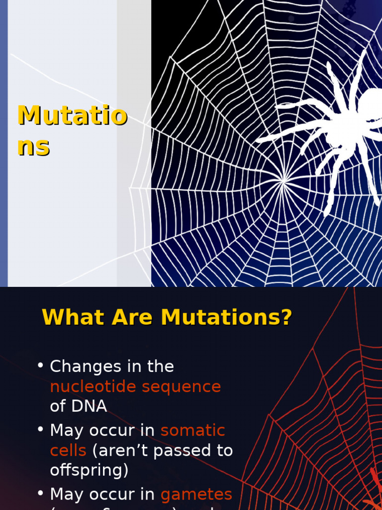 Types of Genetic Mutations Explained | PDF