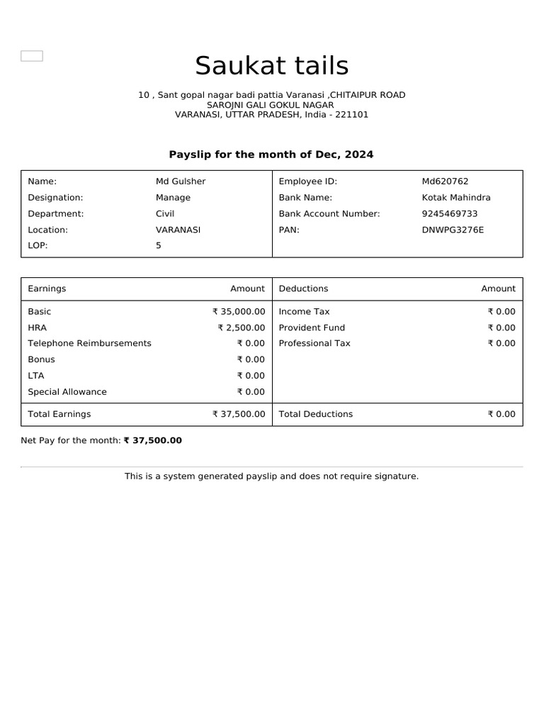 December 2024 Salary Payslip | PDF