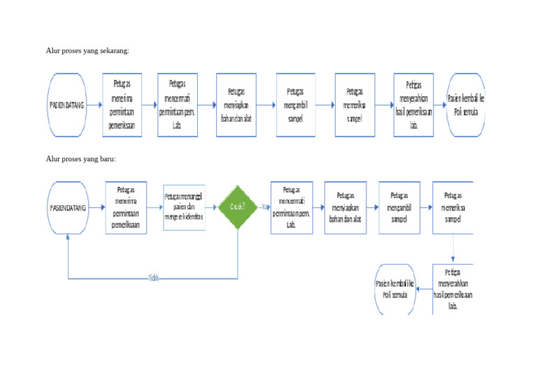 Alur Pelayanan Lab Baru | PDF