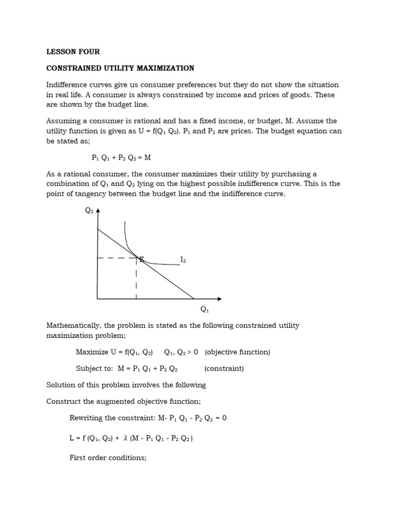 4 - Utility Maximization | PDF | Utility | Consumer Behaviour