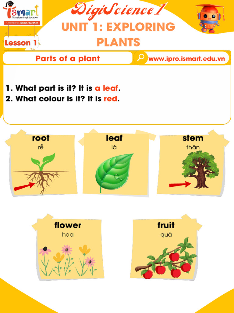 Science Grade 1 | PDF | Organisms | Botany