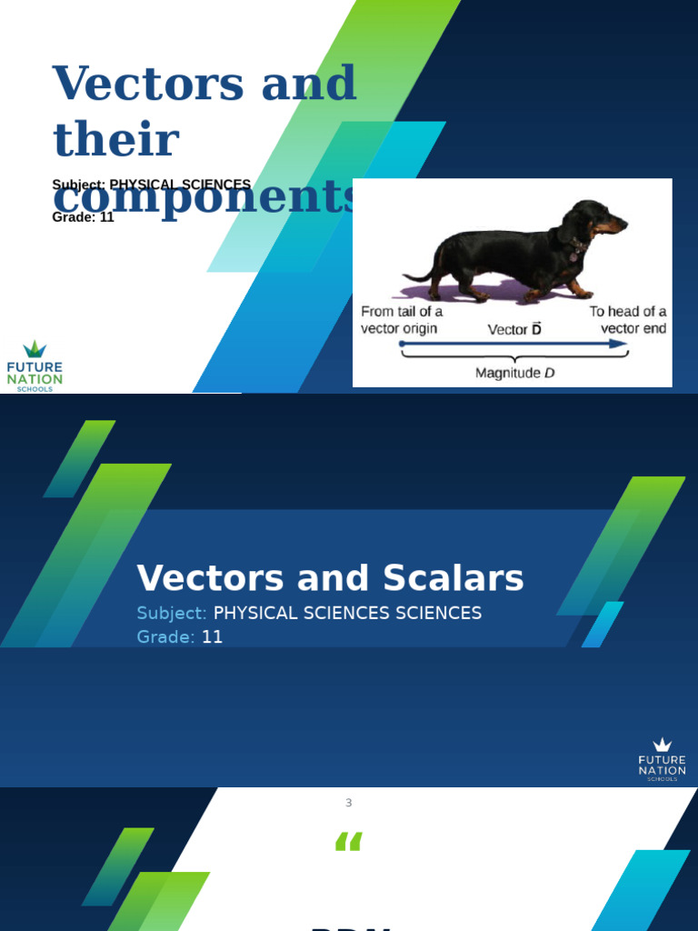 1.vectors Components 2024 | PDF | Euclidean Vector | Force
