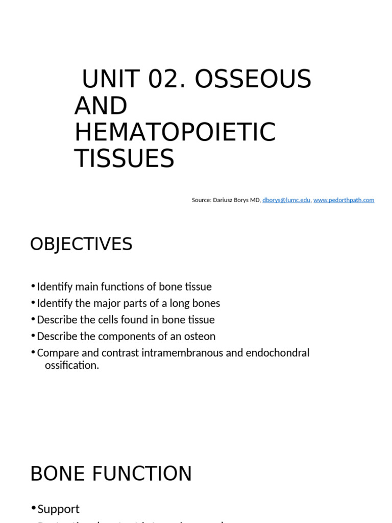 UNIT 02. Osseous and Hematopoietic Tissues (1) | PDF | Bone | Osteoblast