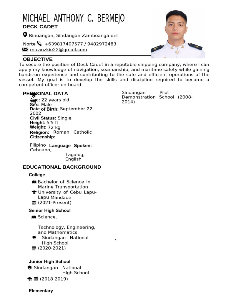 Resume Bermejo | PDF