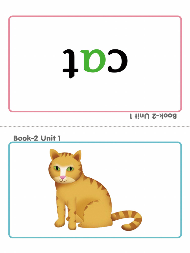 OPW 2 Flashcards | PDF