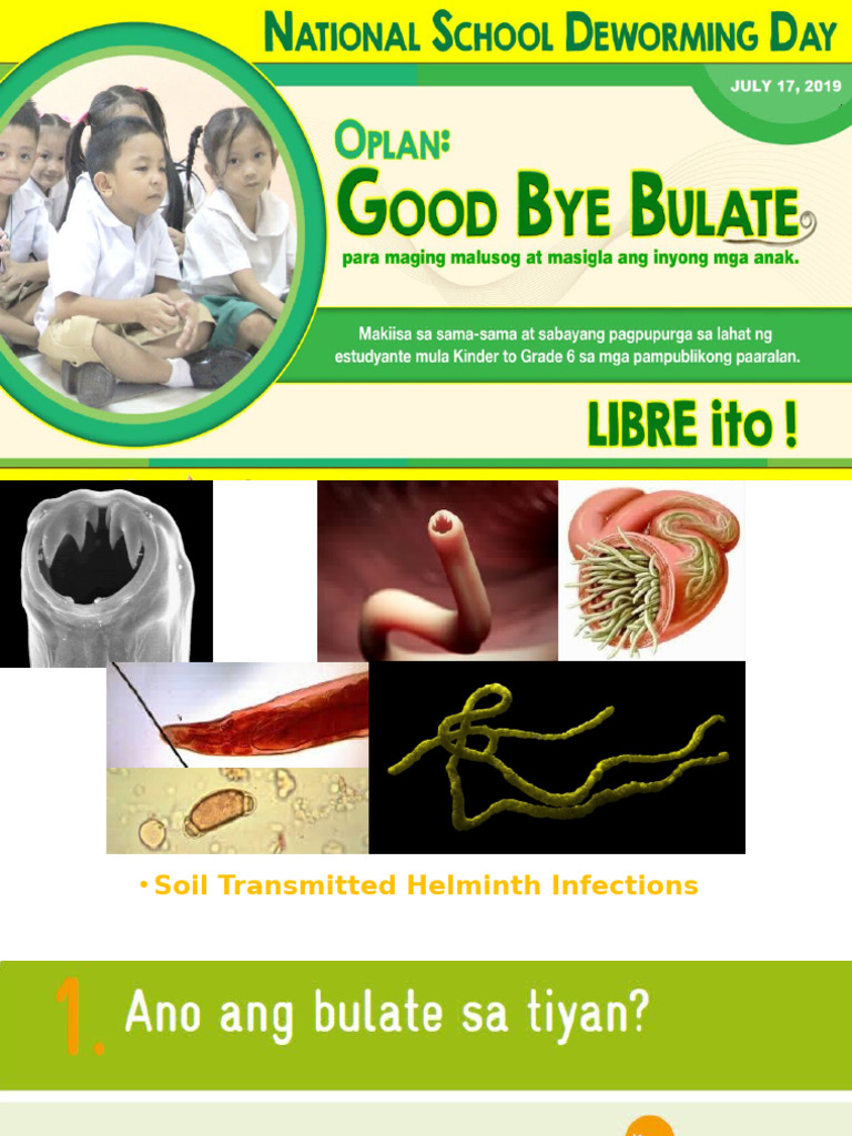 Deworming 2019 | PDF