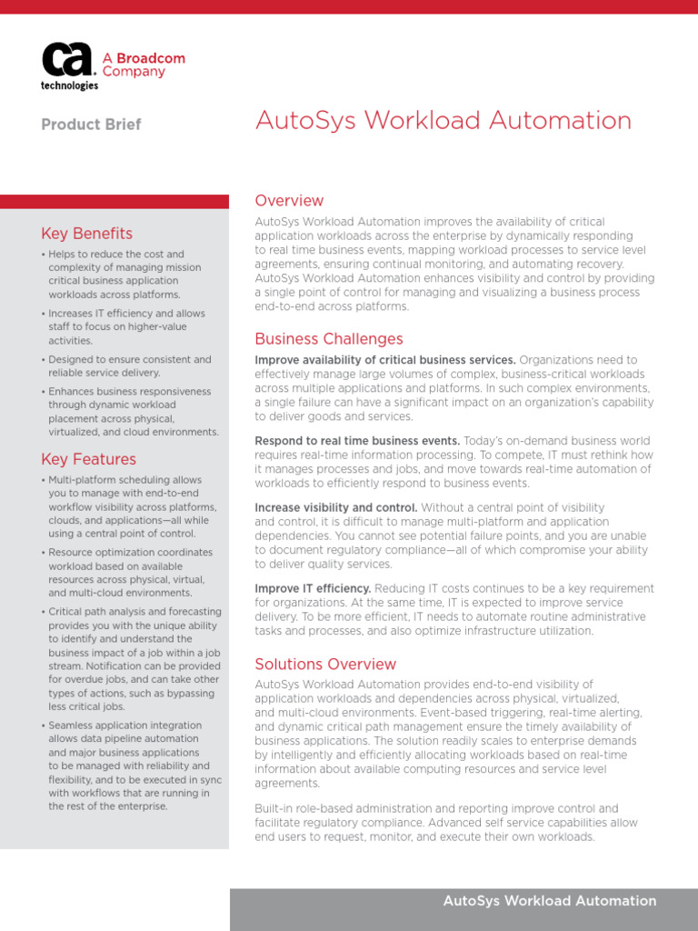 DS_EN_AUT Workload Automation | PDF | Automation | Virtualization