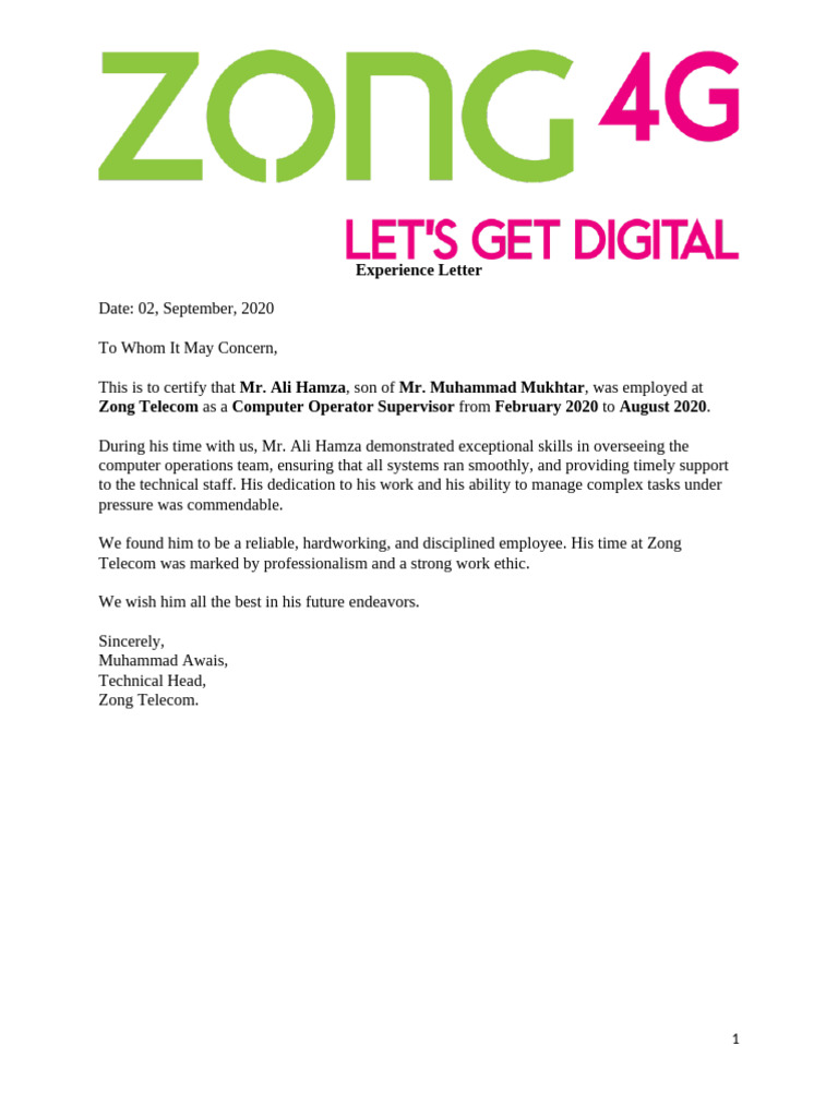 Experience Letter for Ali Hamza | PDF