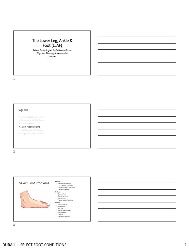 6 Llaf Select Foot Problems | PDF | Foot | Toe