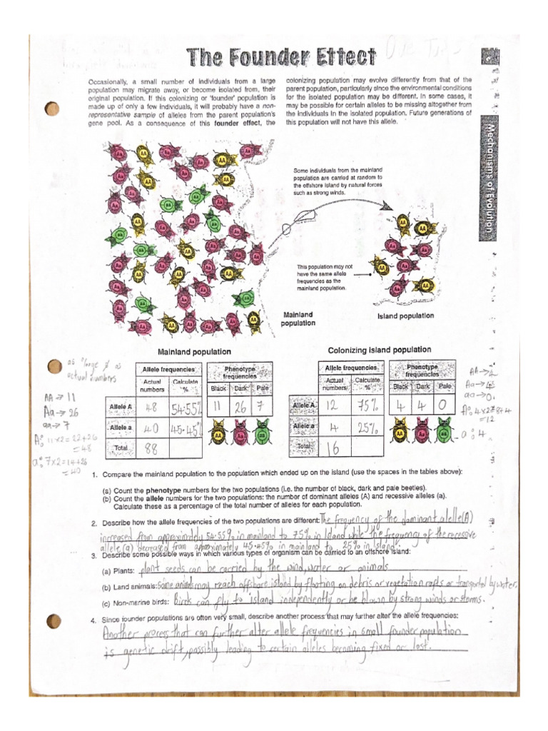 Founder Eff. & Gen. Drift | PDF