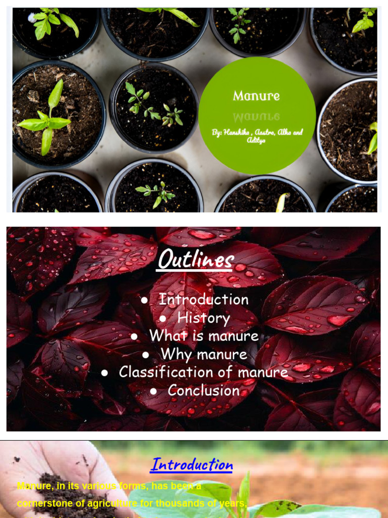Manure Presentation (101) | PDF | Manure | Soil