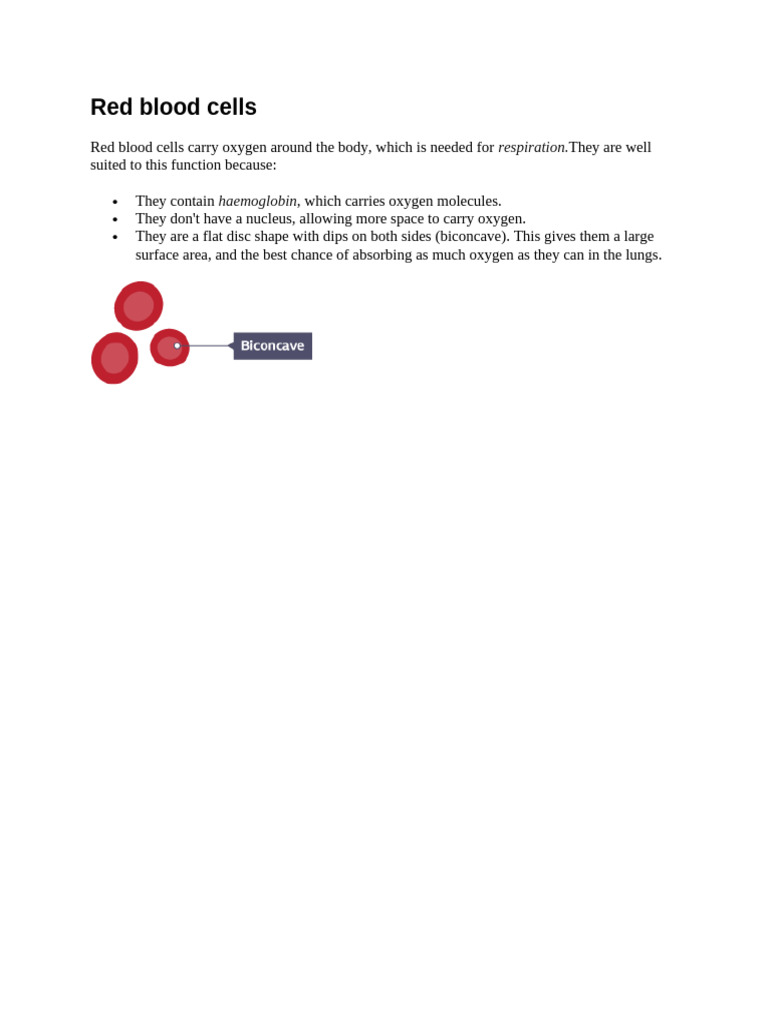 Red Blood Cells | PDF