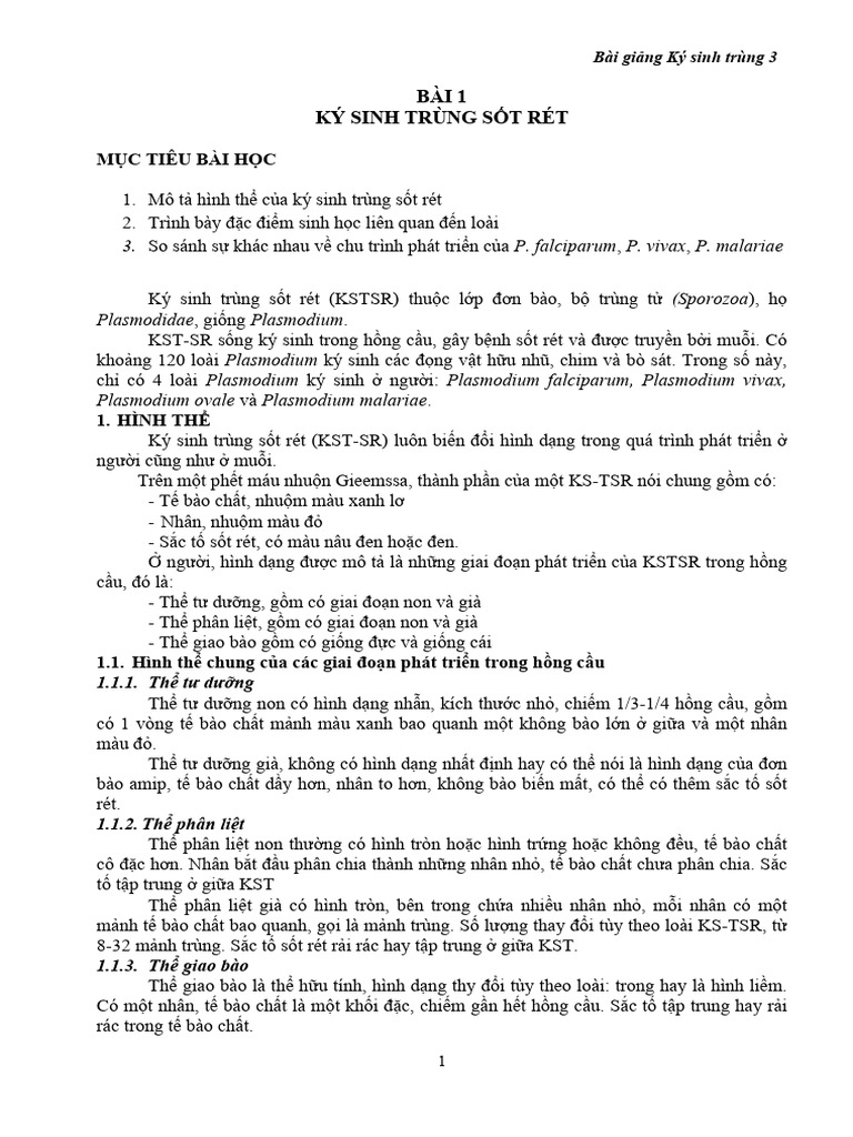 Bài Gi NG KST 3 - Xnyh-K11 | PDF