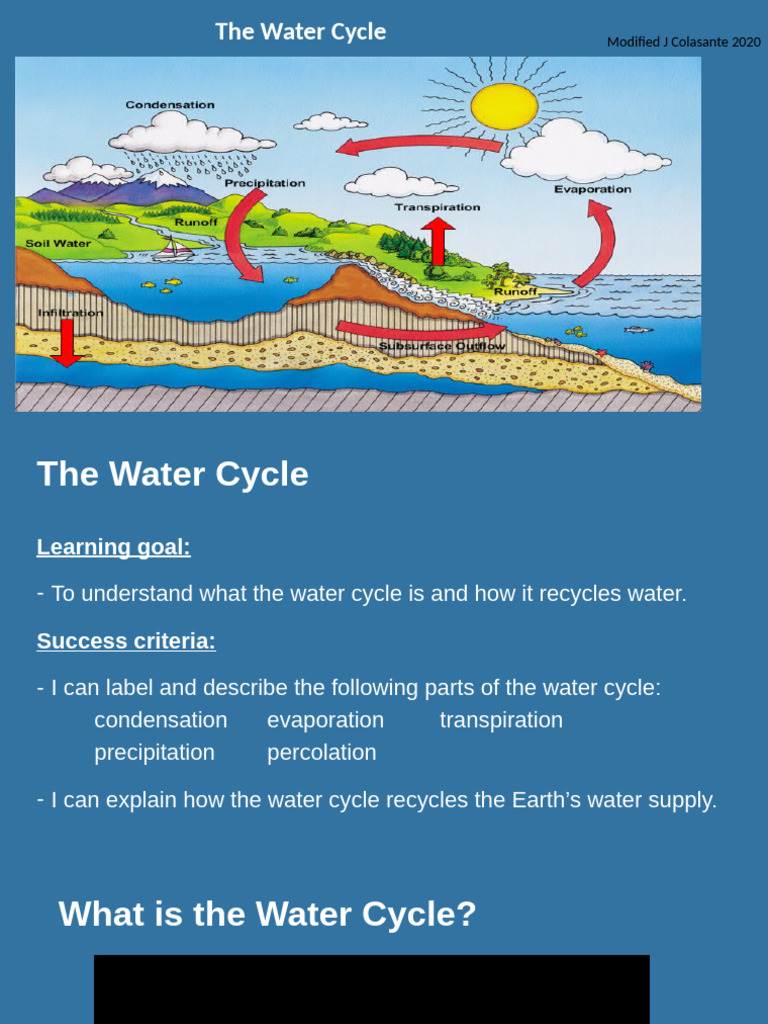 Water Cycle Basics for Students | PDF | Water Cycle | Precipitation