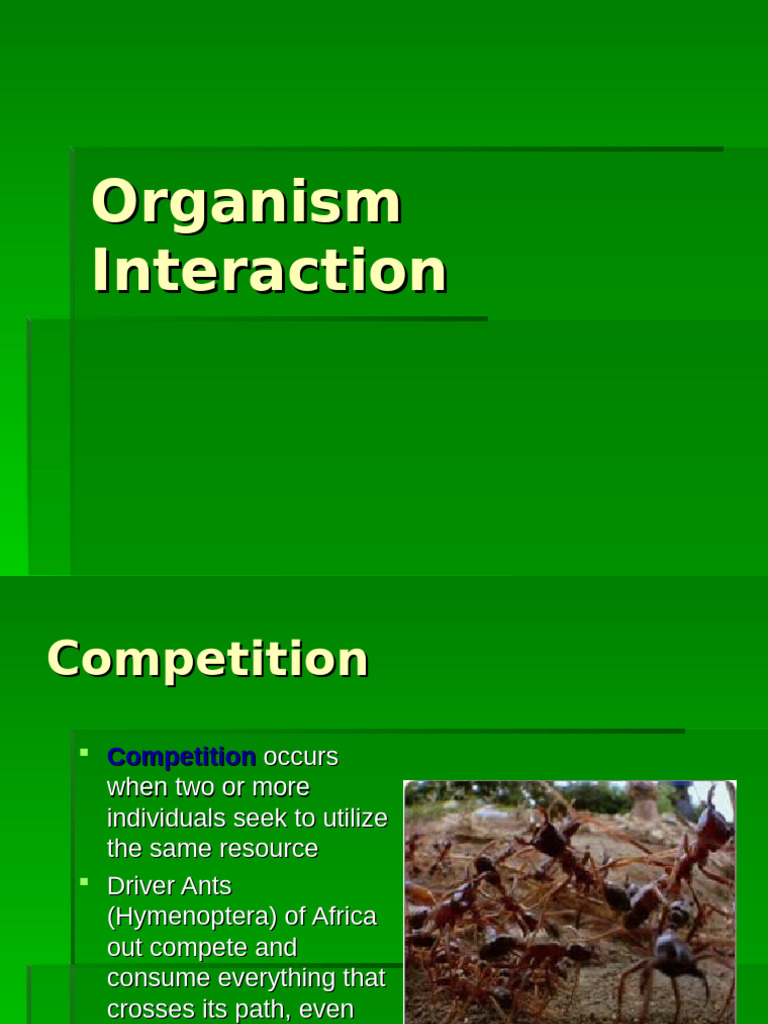 Organism Interaction | PDF | Symbiosis | Ant