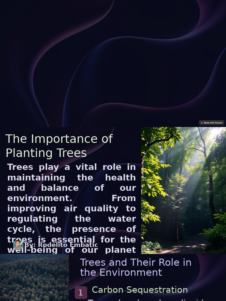The Importance of Planting Trees | PDF | Trees | Soil
