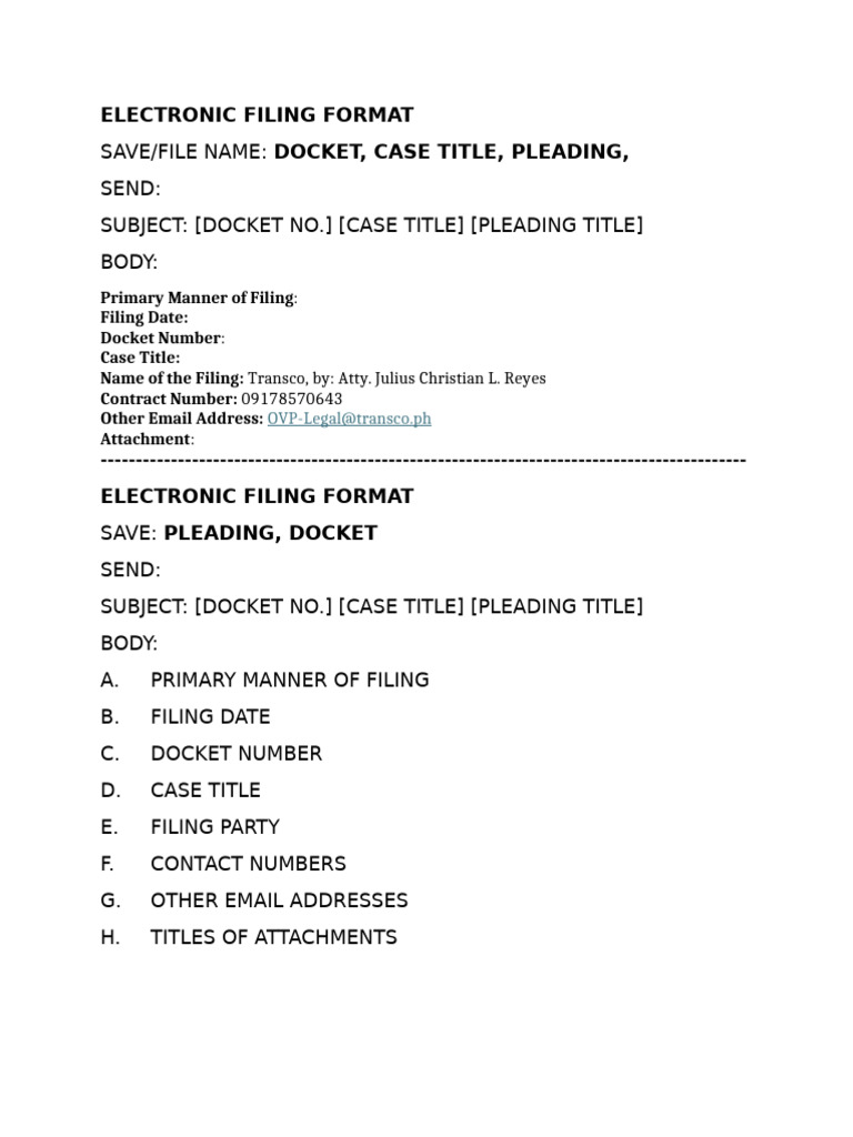 Electronic Filing Format | PDF