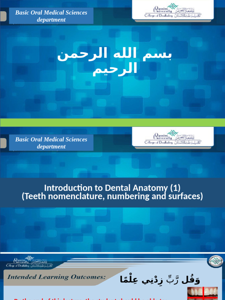 Dental Anatomy: Teeth Nomenclature & Numbering | PDF | Dental Anatomy ...