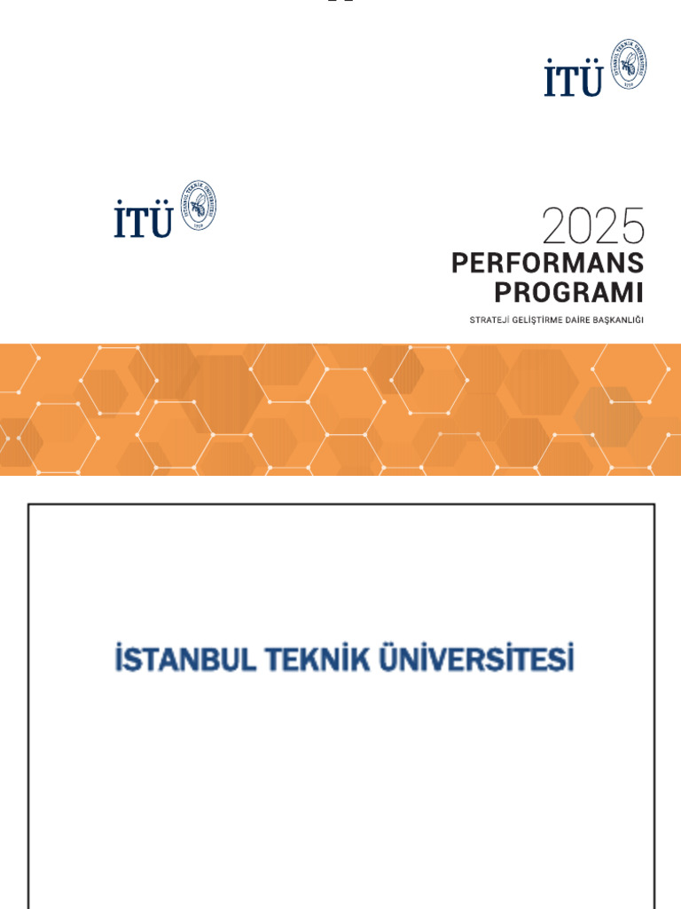 2025_performans_programi-v1 | PDF