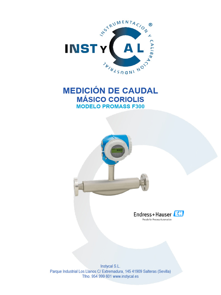 Medición de Caudal con PROMASS F300 | PDF | Medición de flujo | Medición