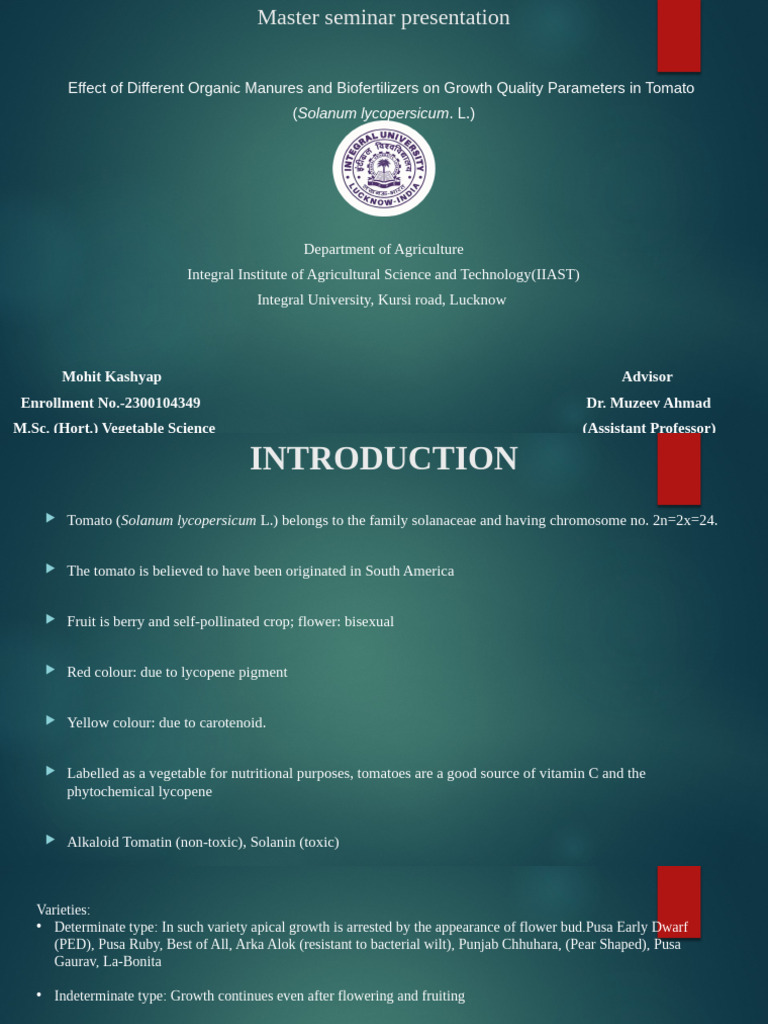 Mohit Master Seminar Presentation | PDF | Tomato | Sowing