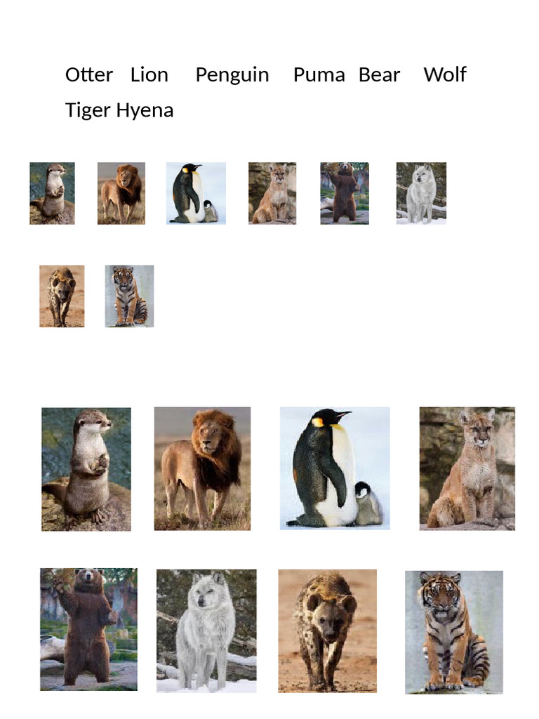 Otter Lion Penguin Puma Bear Wolf | PDF