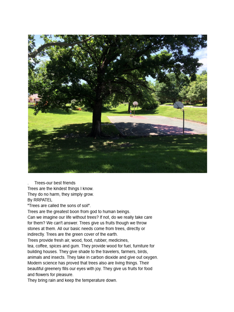 Trees: Our Best Friends and Allies | PDF