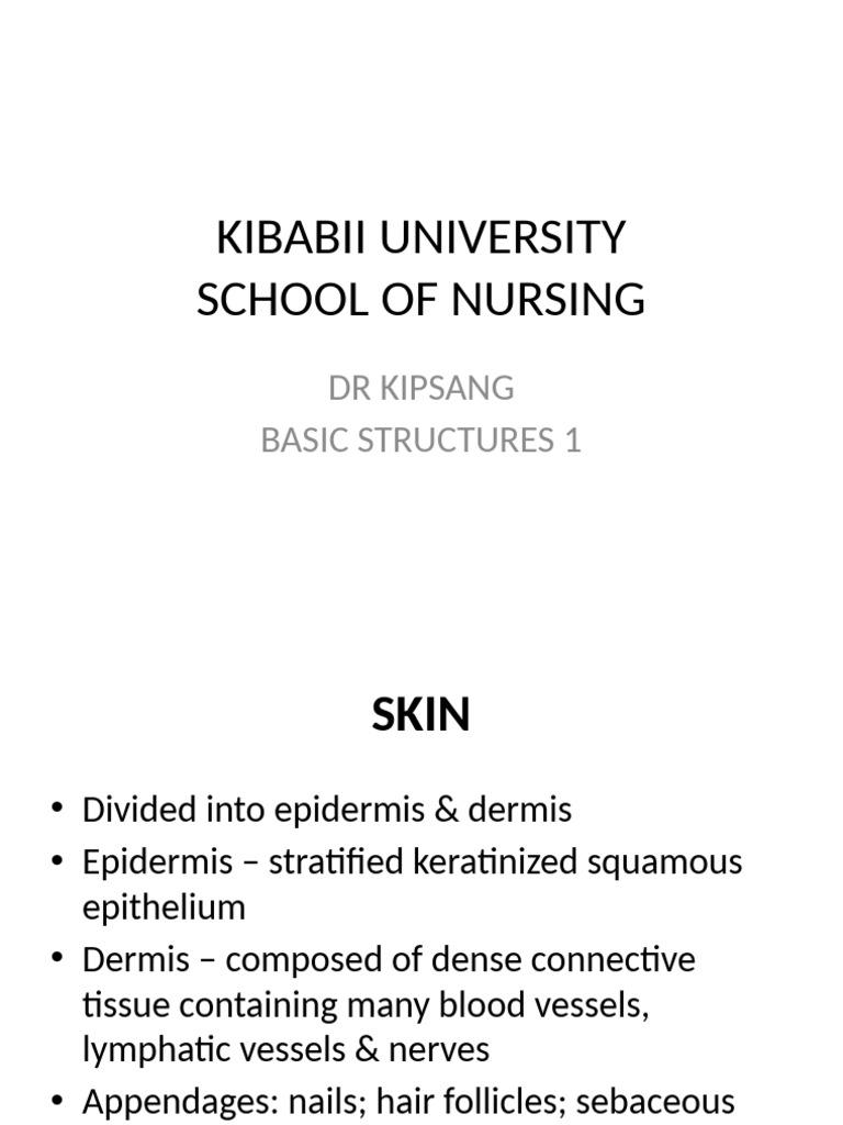 ANATOMY1- BASIC STRUCTURES | PDF | Skin | Muscle ANATOMY1- BASIC STRUCTURES | PDF | Skin | Muscle