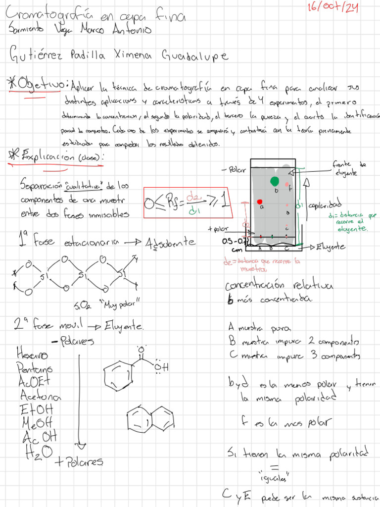 Cromatografía en Capa Fina | PDF