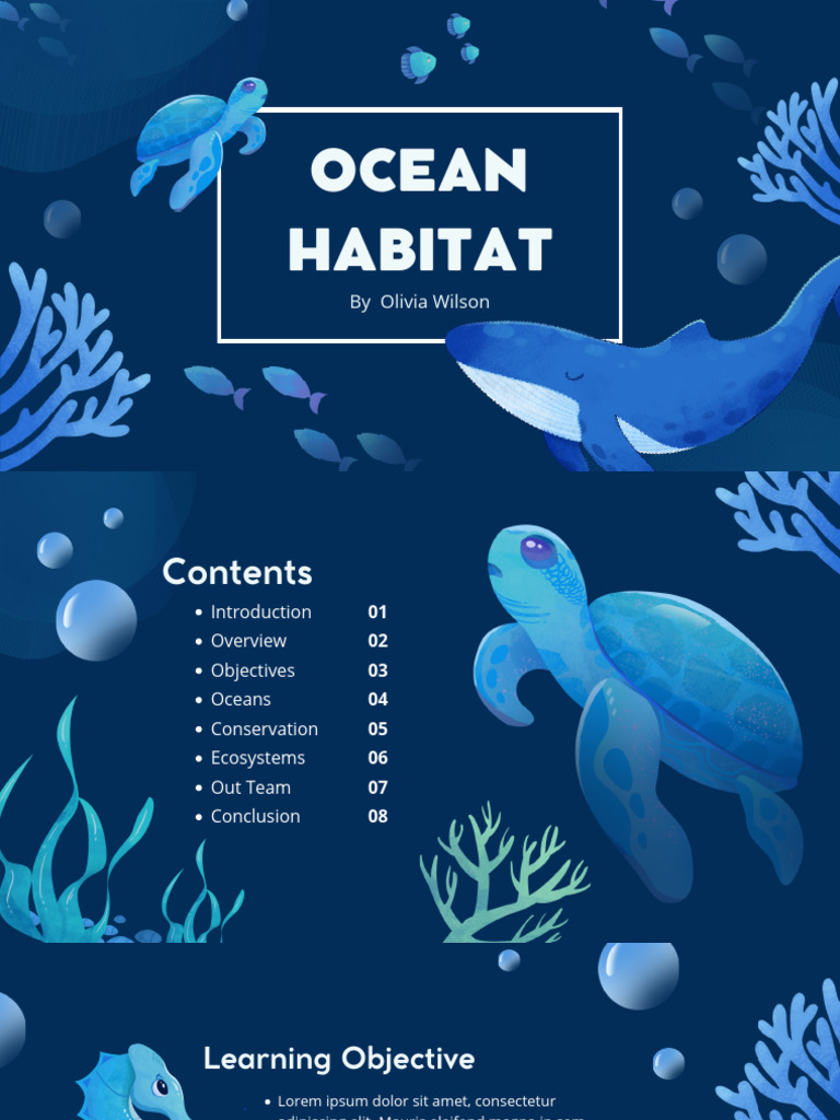 Ocean Habitat Conservation Guide | PDF