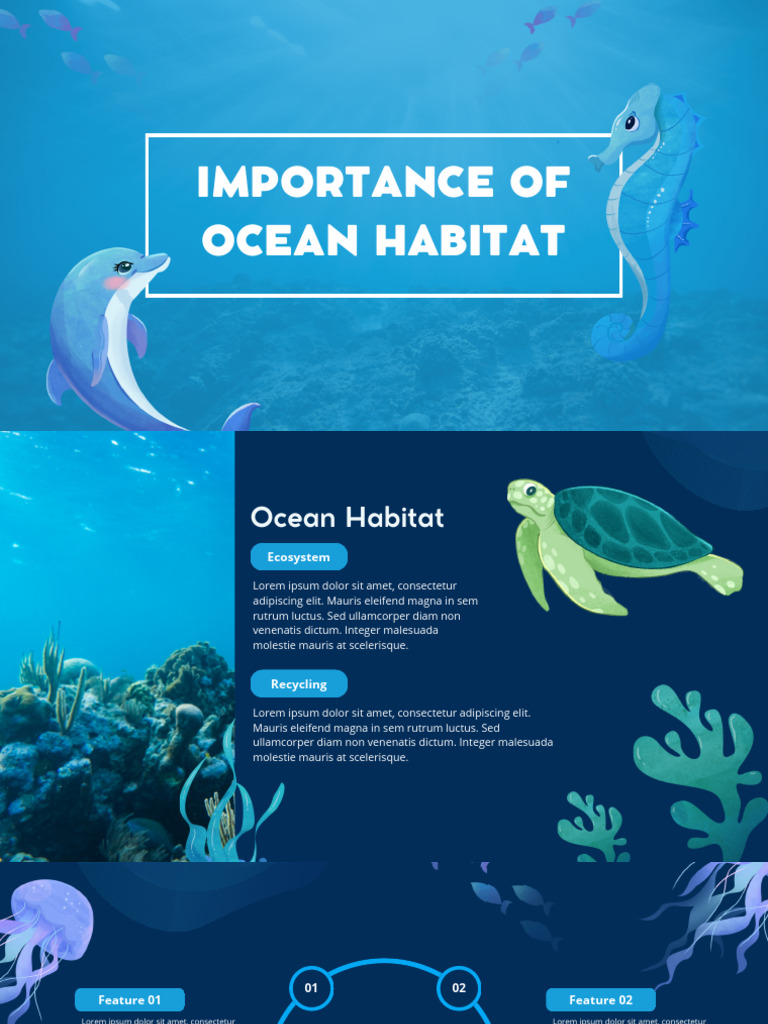 Ocean Habitat Importance & Features | PDF | Earth Sciences