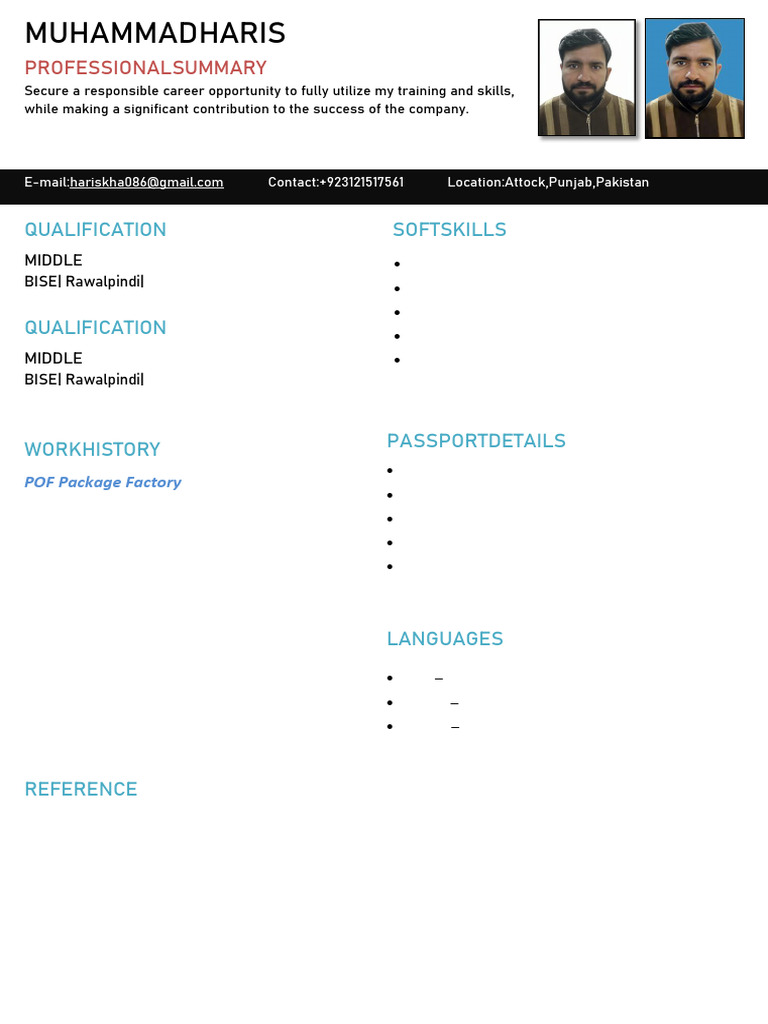 CV Muhammad Haris | PDF