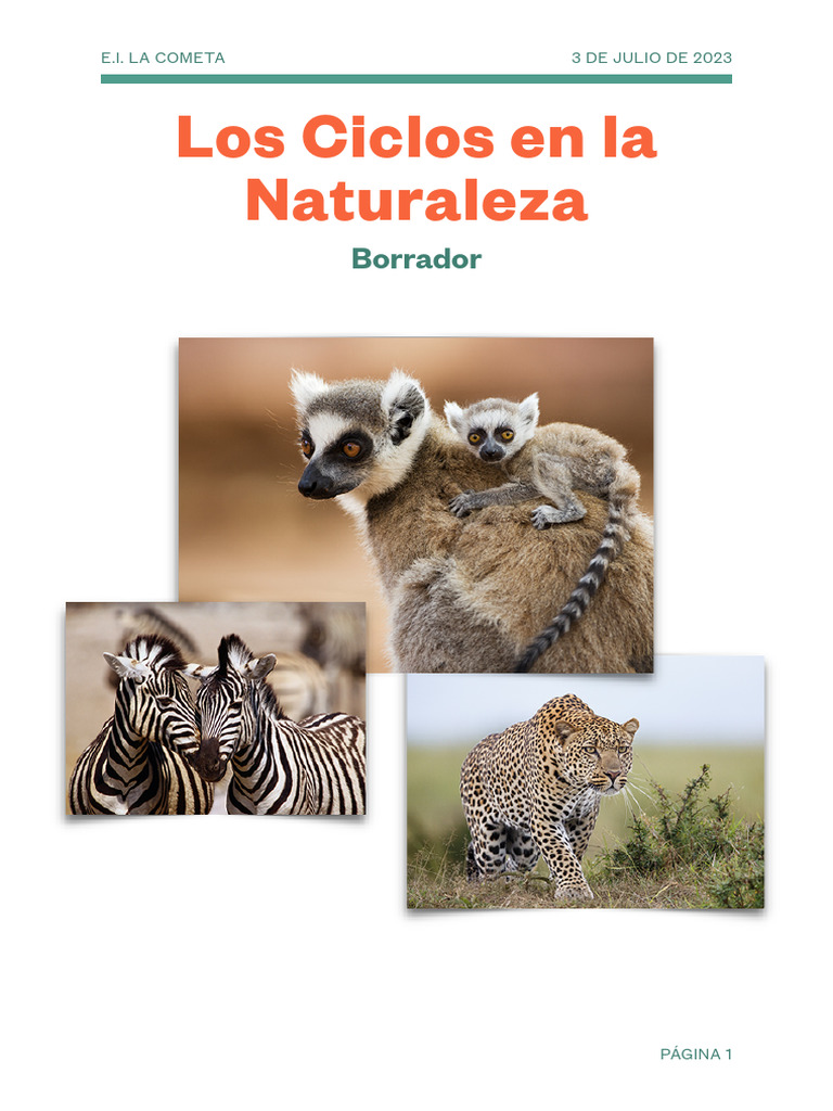 Ciclos en La Naturaleza | PDF | Las emociones | Aprendizaje