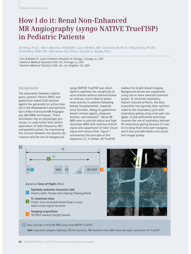 Pediatric Renal NE-MRA with syngo NATIVE | PDF | Kidney | Medical ...