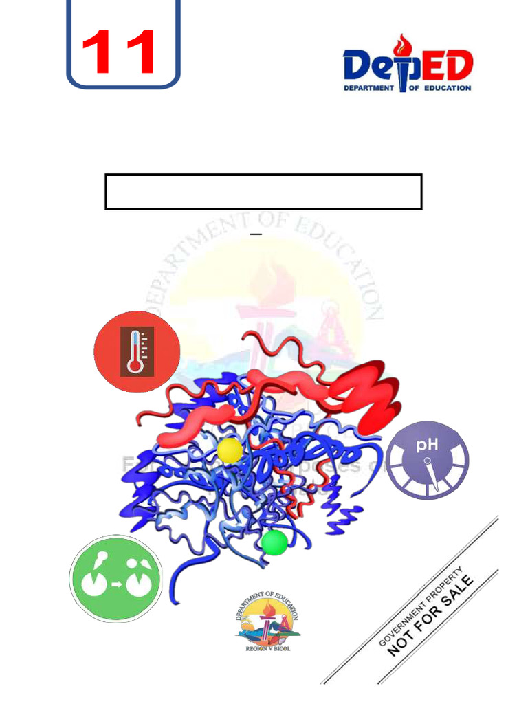 SHS STEM Bio1 Q1 Week 7 Module 16 Factors Affecting Enzyme Activity | PDF | Enzyme | Enzyme Assay