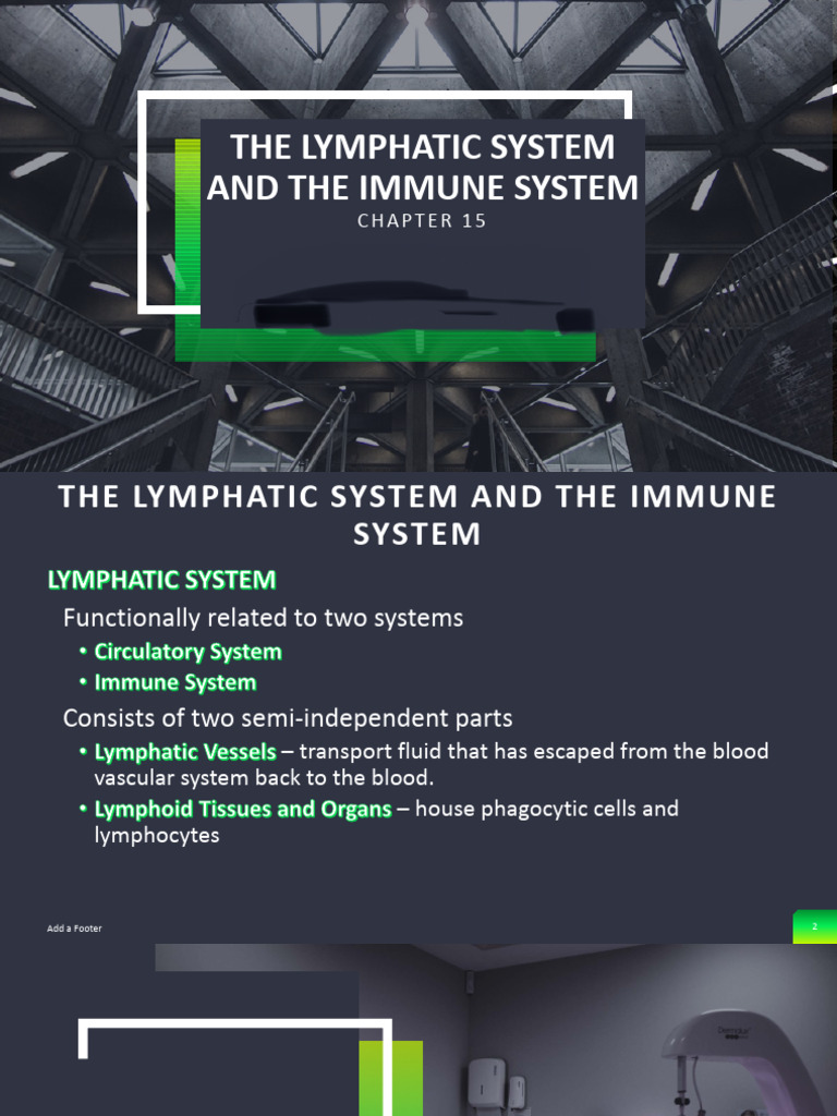 Chapter 9 - The Lymphatic and The Immune System | PDF | Lymph | Lymphatic System