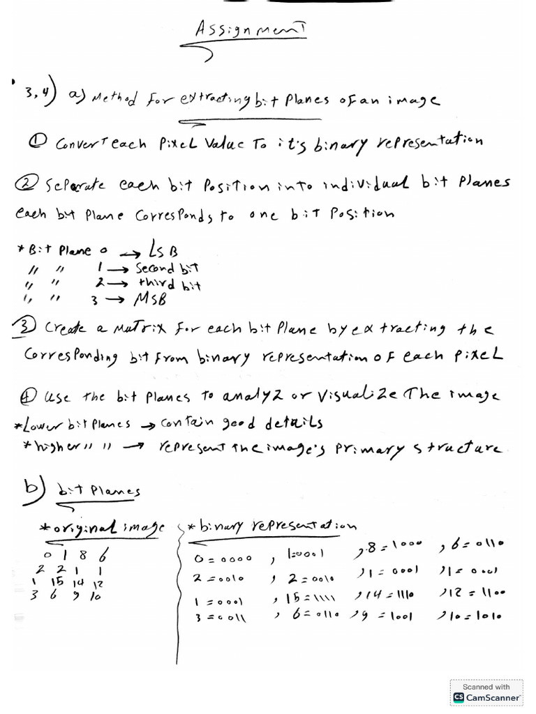 Image Assignment | PDF