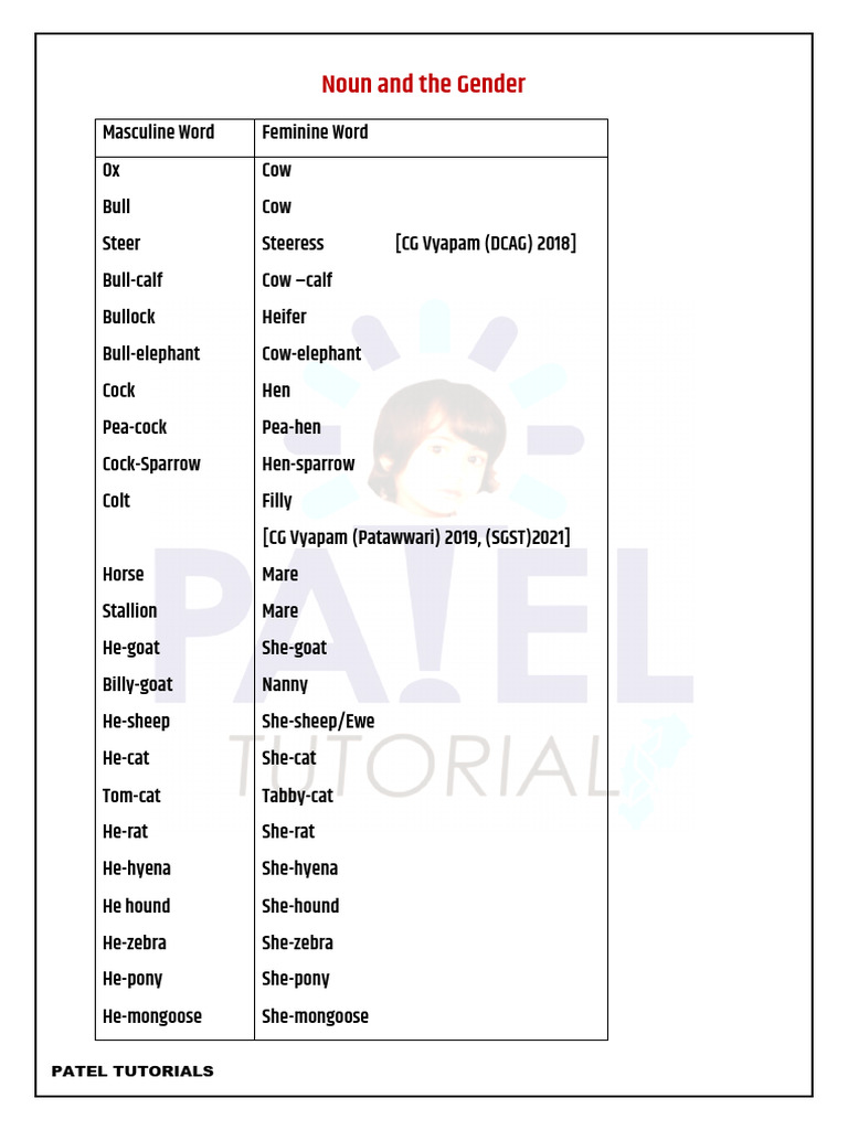Noun and the Gender | PDF | Grammatical Gender