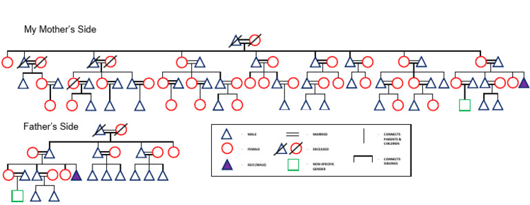 Kinship Diagram | PDF