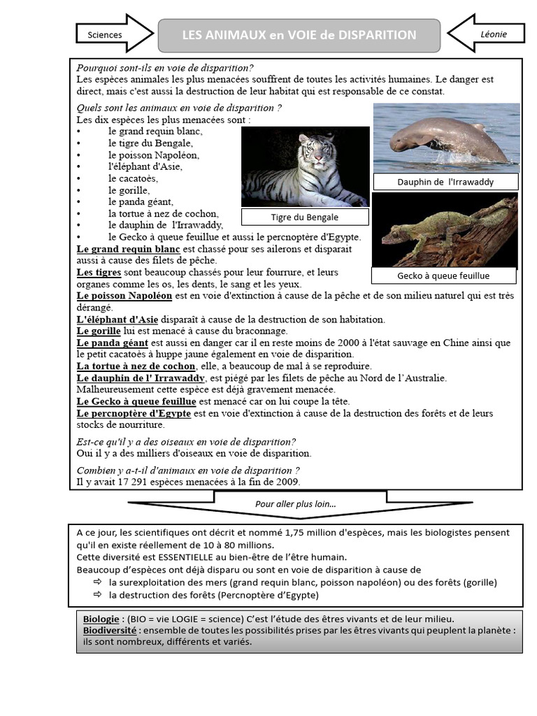 Animaux en voie de disparition : causes et espèces | PDF | Espèces ...