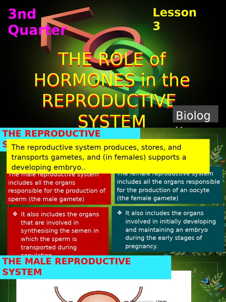 Quarter Iii - Lesson 3 - The Role of Hormones in The Reproductive System | PDF | Luteinizing ...