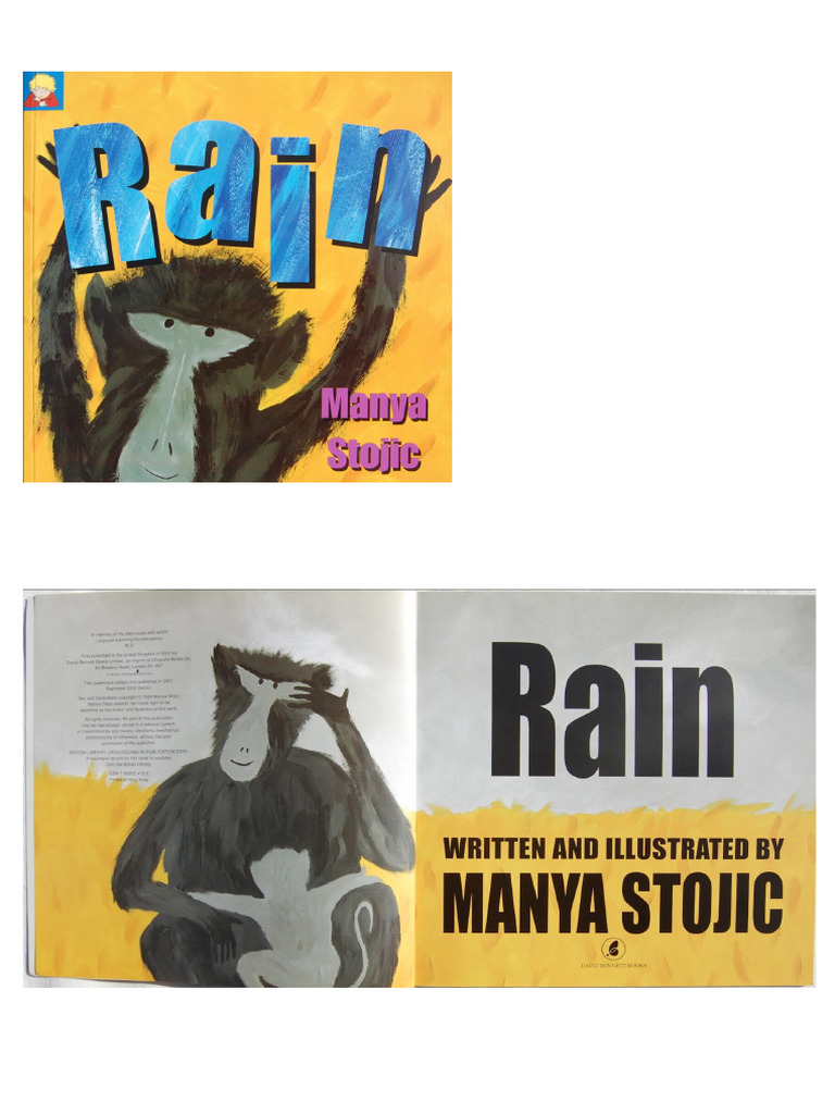 RAIN BOOK | PDF